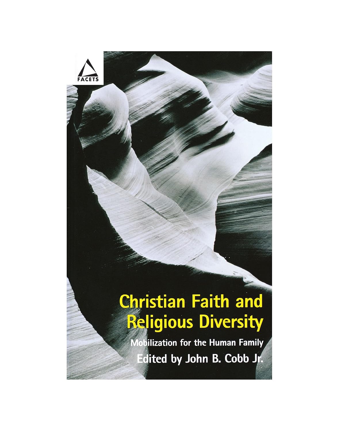 Christian Faith and Religious Diversity: Mobilization for the Human ...