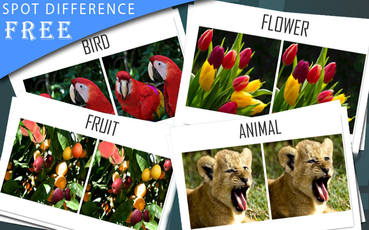 Find The Difference 50 Level : Spot Difference:Amazon.com:Appstore for Android