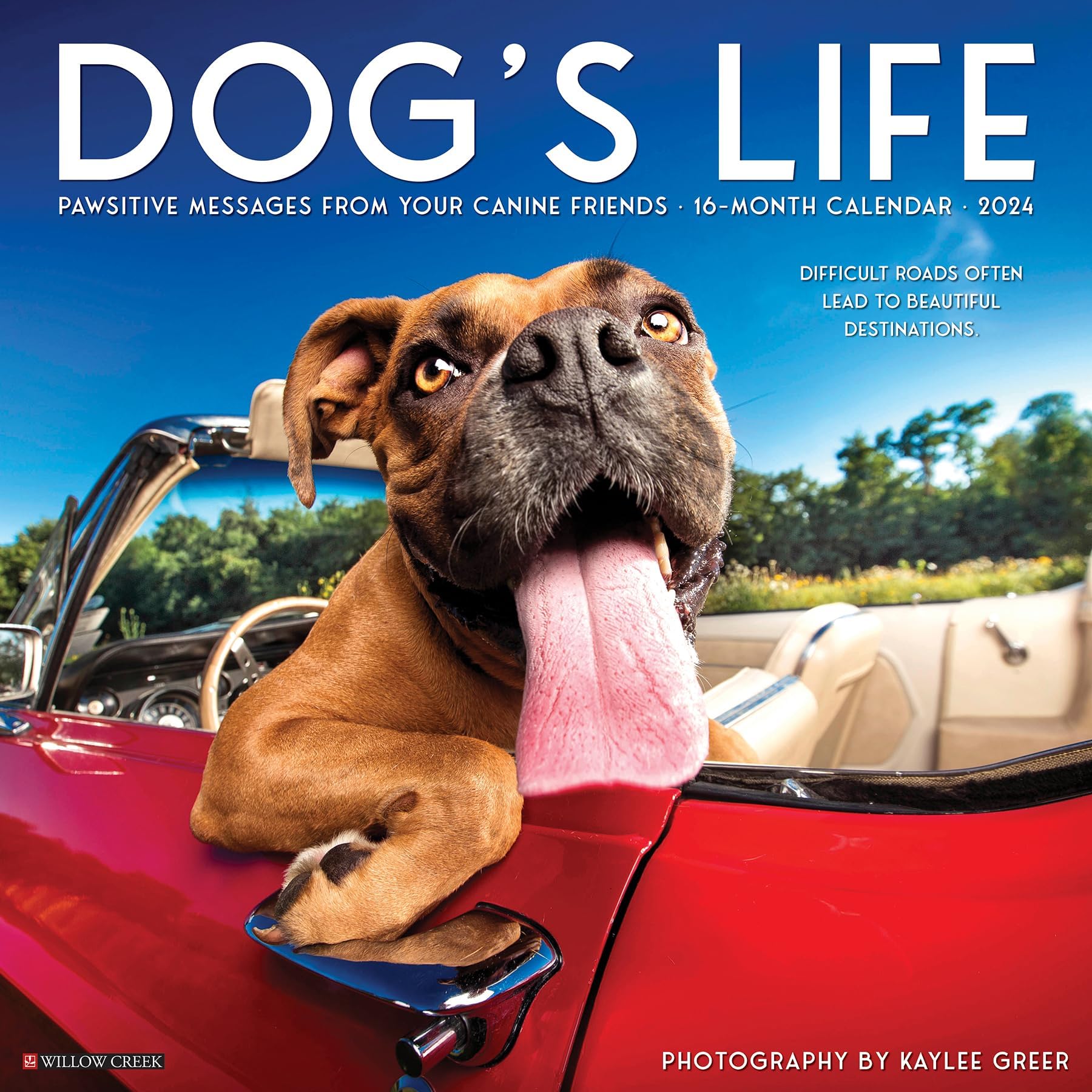 Amazon.com: Dogma 2024 Mini Calendar: A Dog’s Guide to Life, 7" x 7 ...