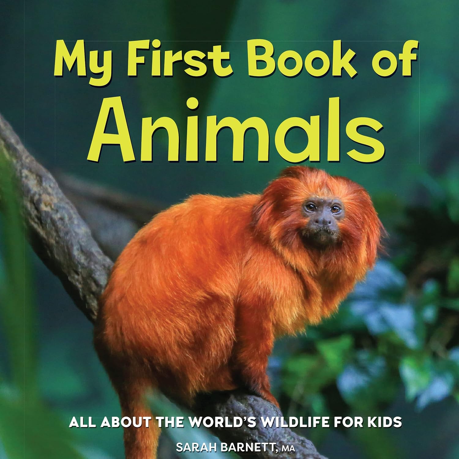 Amazon.com: My First Book of Animals: All About the World's Wildlife ...