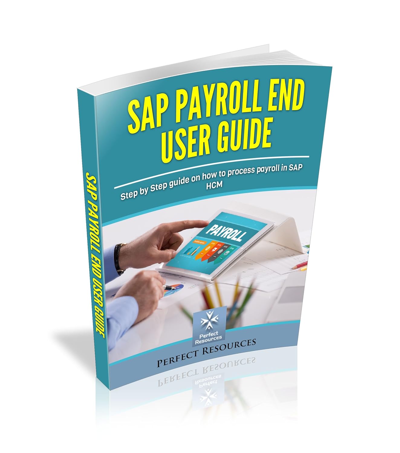 SAP Payroll End User Guide: Step by step guide on how to process ...