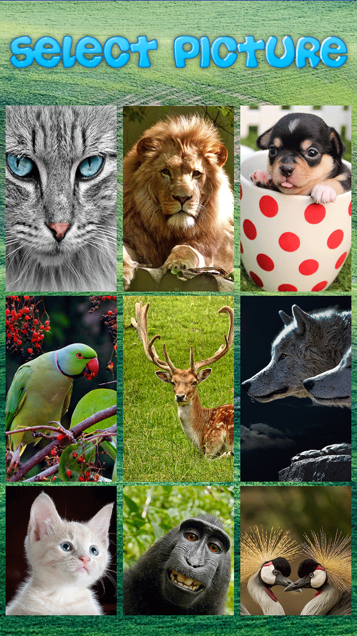 Animals Game - App on the Amazon Appstore