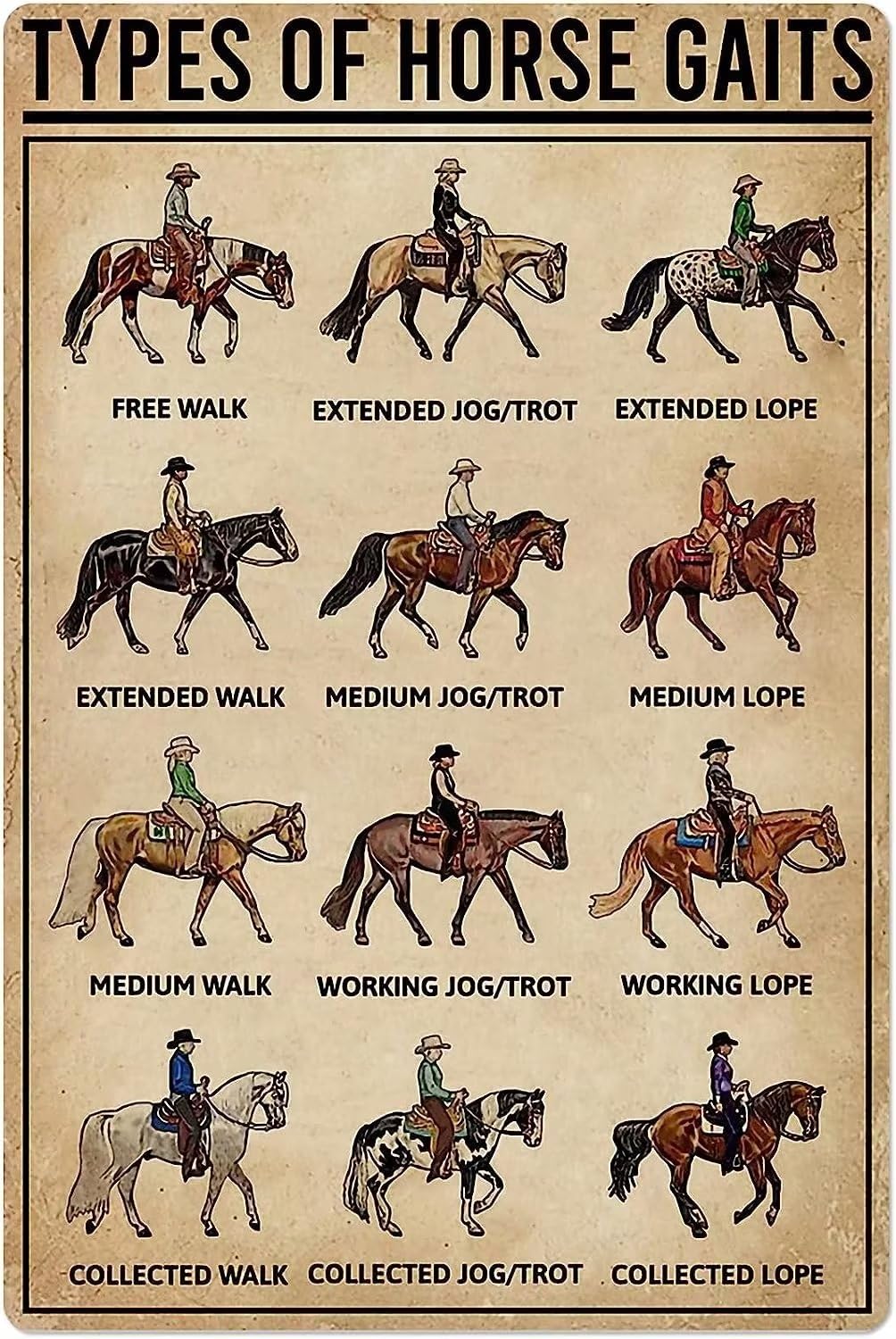 Horse Gait Trot
