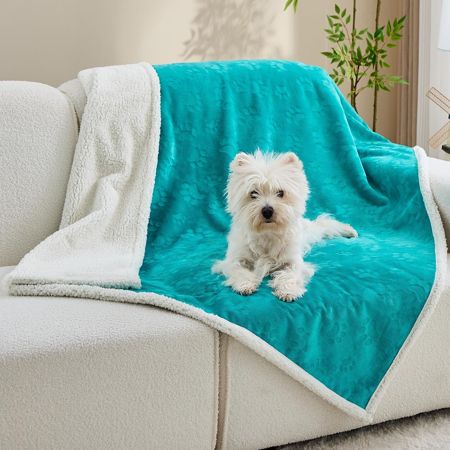 Amazon.com : Qeils Pet Blankets for Cats - Waterproof Cat Blanket ...