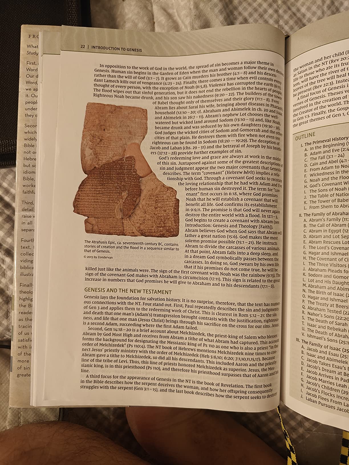 NIV, Biblical Theology Study Bible (Trace the Themes of Scripture ...