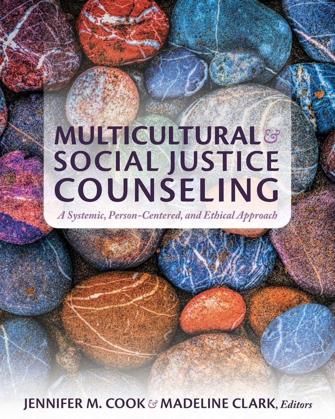 Multicultural and Social Justice Counseling: A Systemic, Person ...