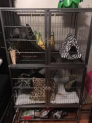 Prevue Hendryx 485 Pet Feisty Ferret Home with Stand, Black Hammertone ...