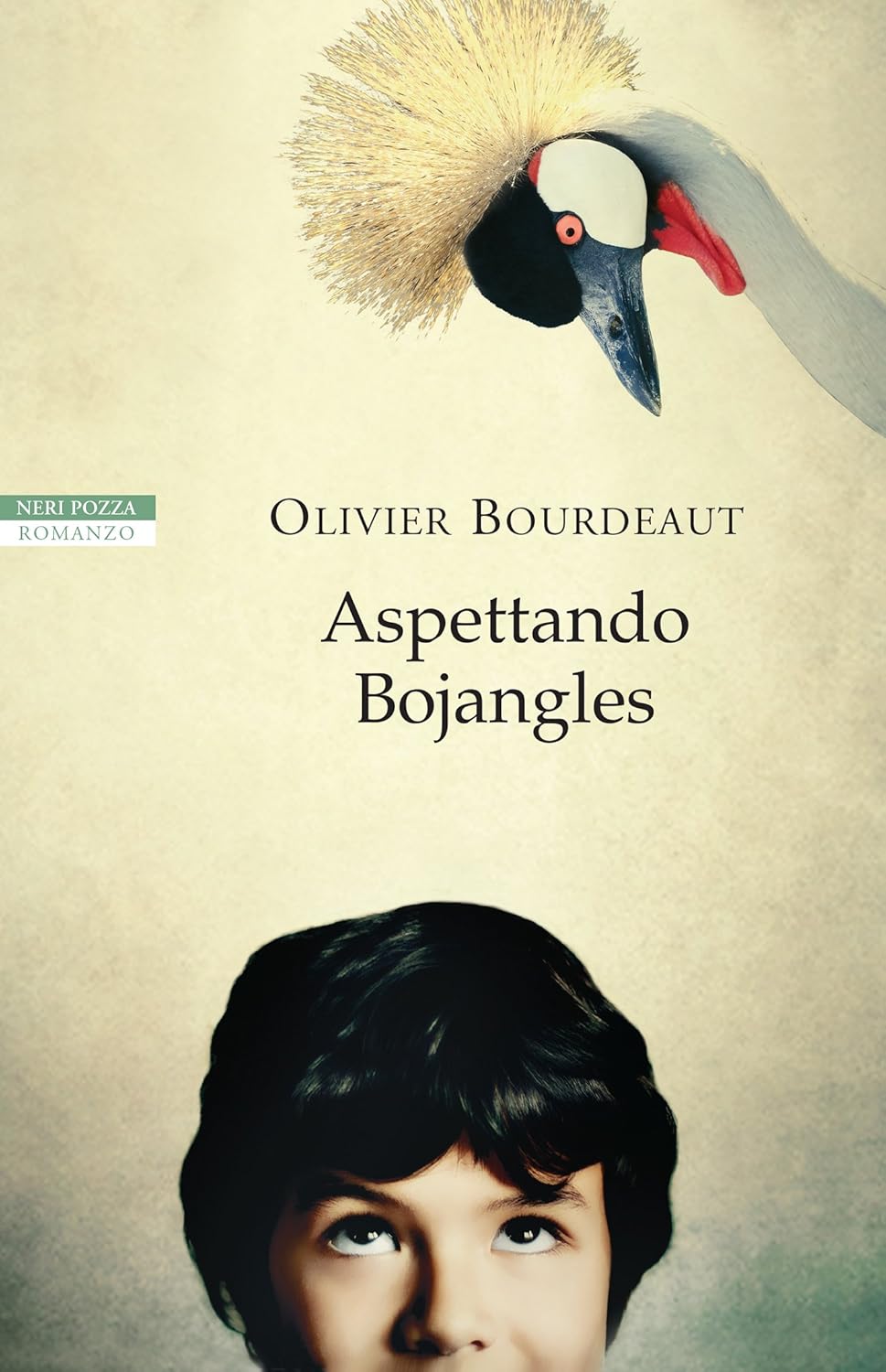 Aspettando Bojangles eBook : Bourdeaut, Olivier, Boi, Roberto: Amazon ...