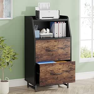 Amazon.com: Tribesigns 2 Drawer Lateral File Cabinet, Modern Filing Cabinet with Open Storage ...