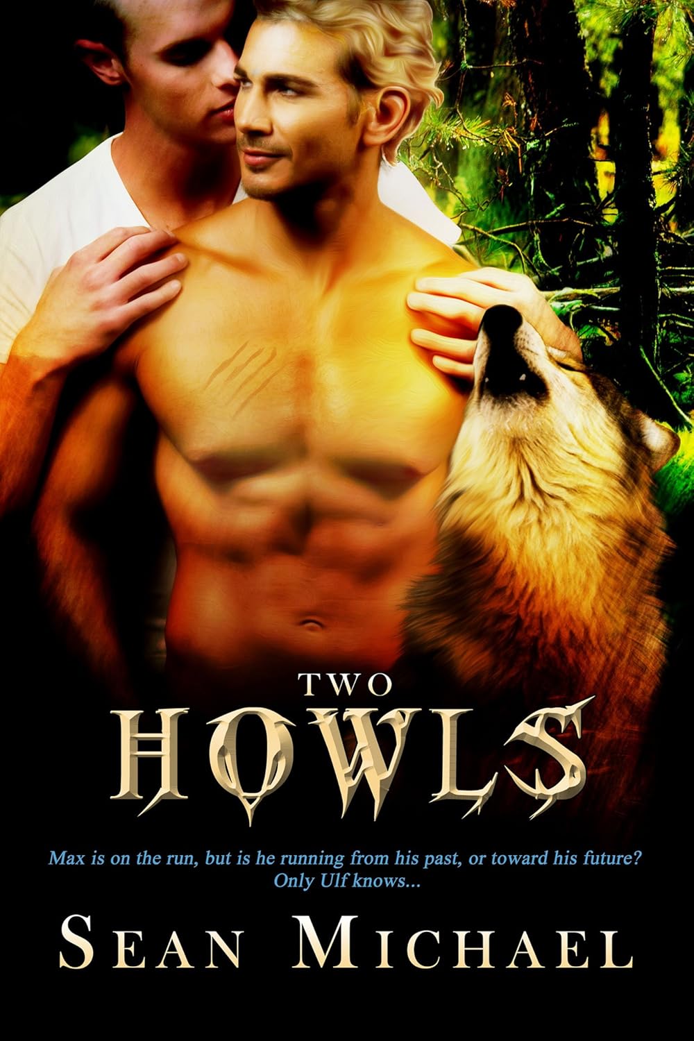 Two Howls - Kindle edition by Michael, Sean. Literature & Fiction ...