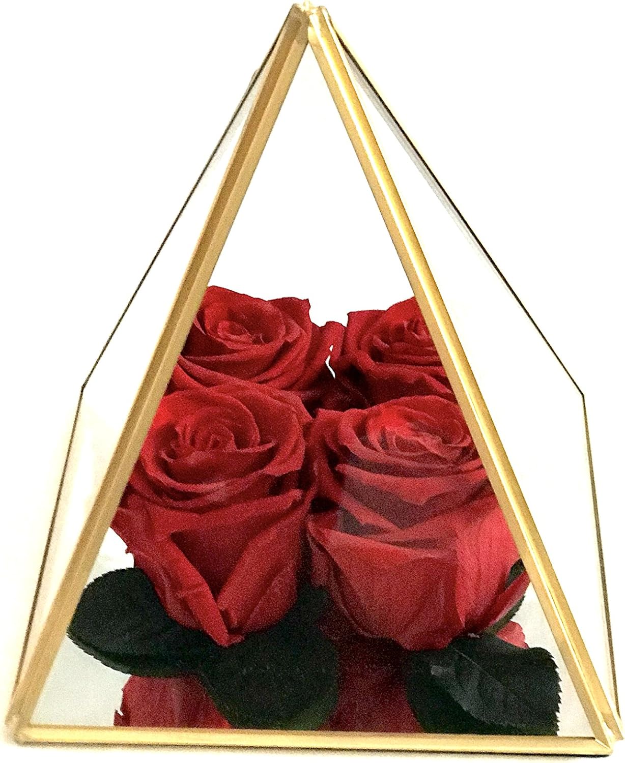 Amazon.com : Forever Love (4 Red Roses Enclosed in a Golden Framed ...