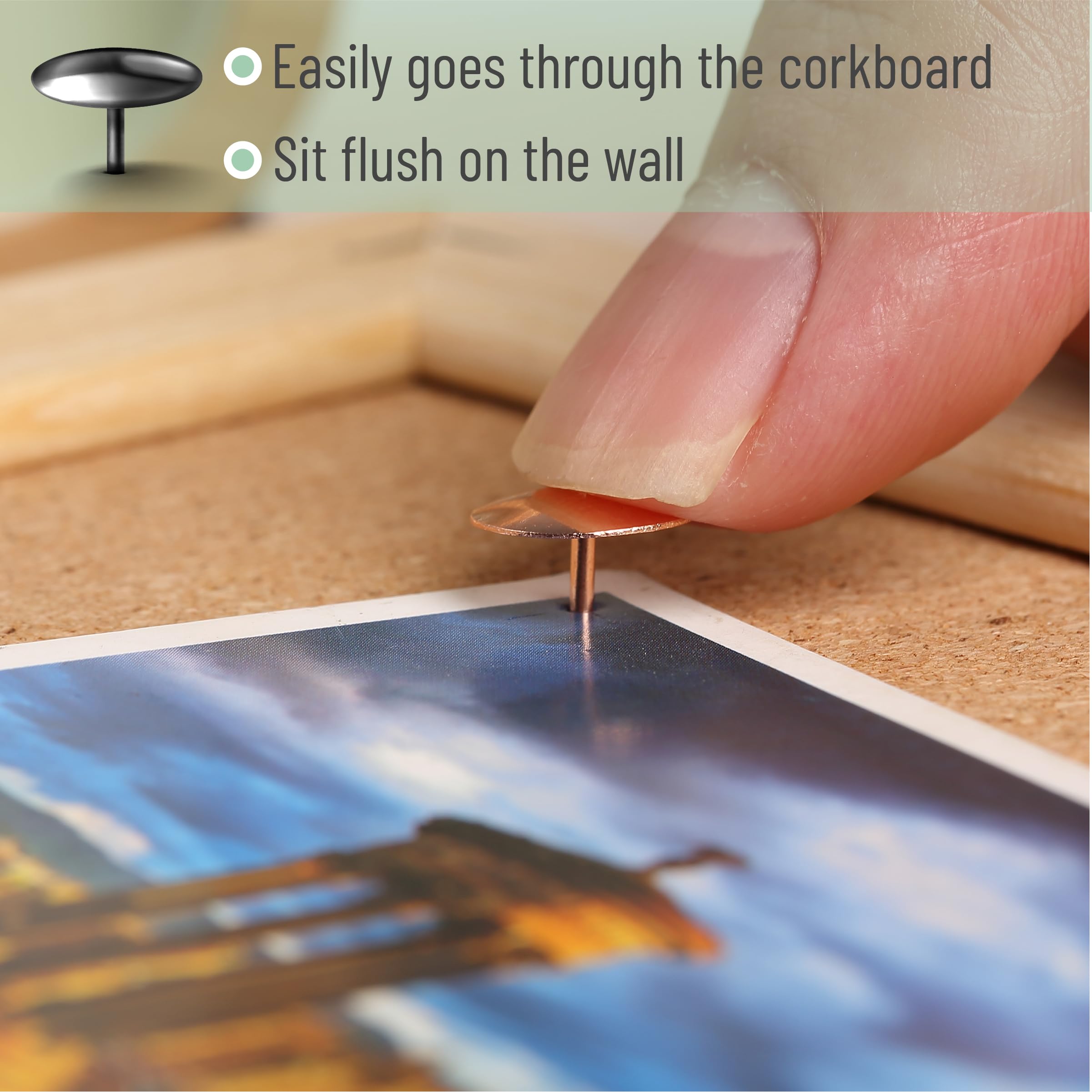 Snapklik.com : Mr Pen- Thumb Tacks, 500 Pack, Rose Gold, Flat Push Pins ...