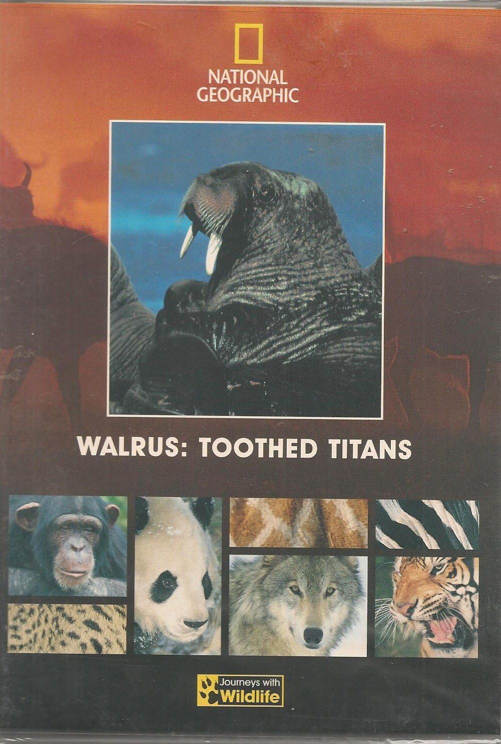 National Geographic - Walrus Toothed Titans: Amazon.co.uk: DVD & Blu-ray