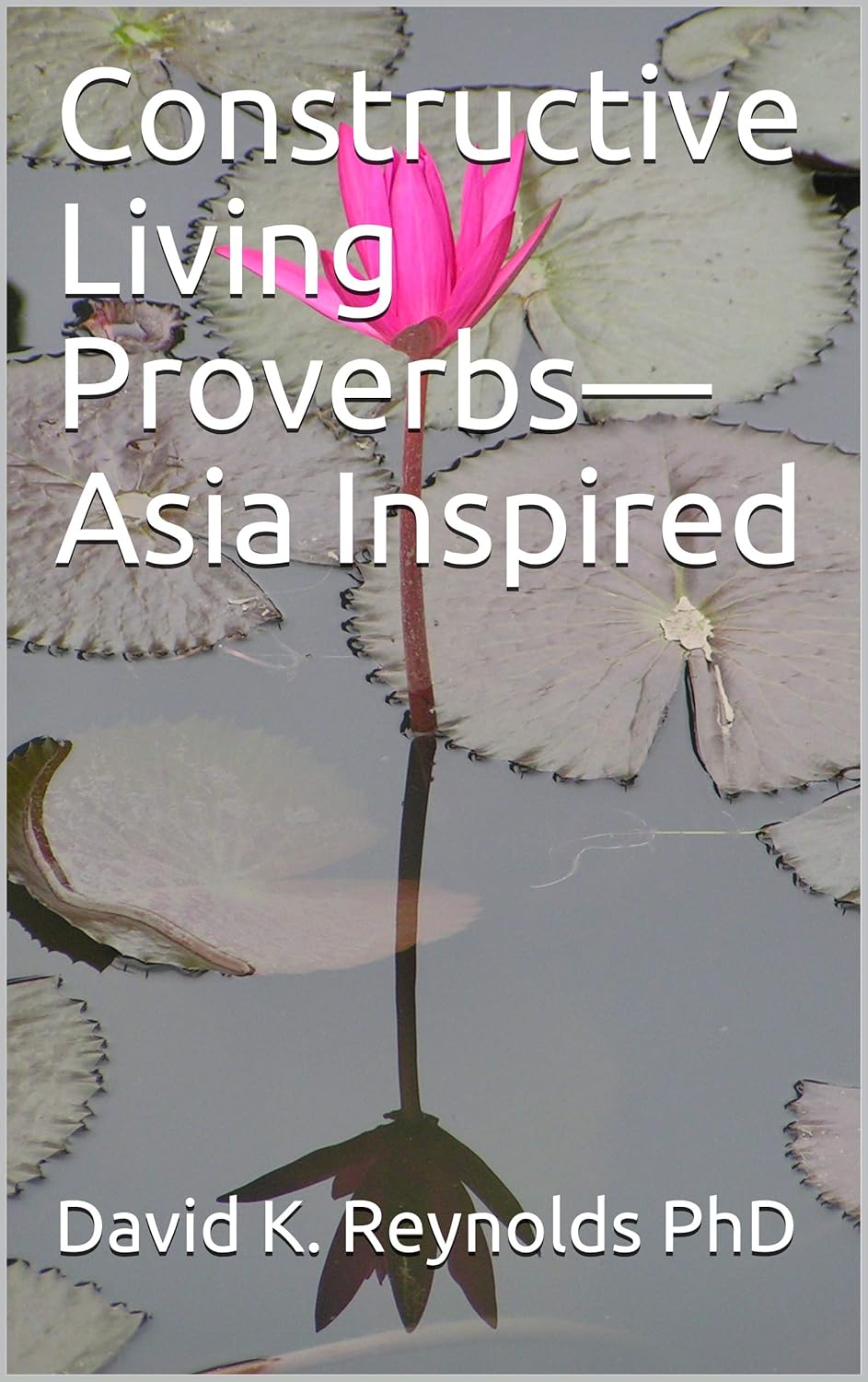 Amazon.com: Constructive Living Proverbs—Asia Inspired eBook : Reynolds PhD, David K.: Books