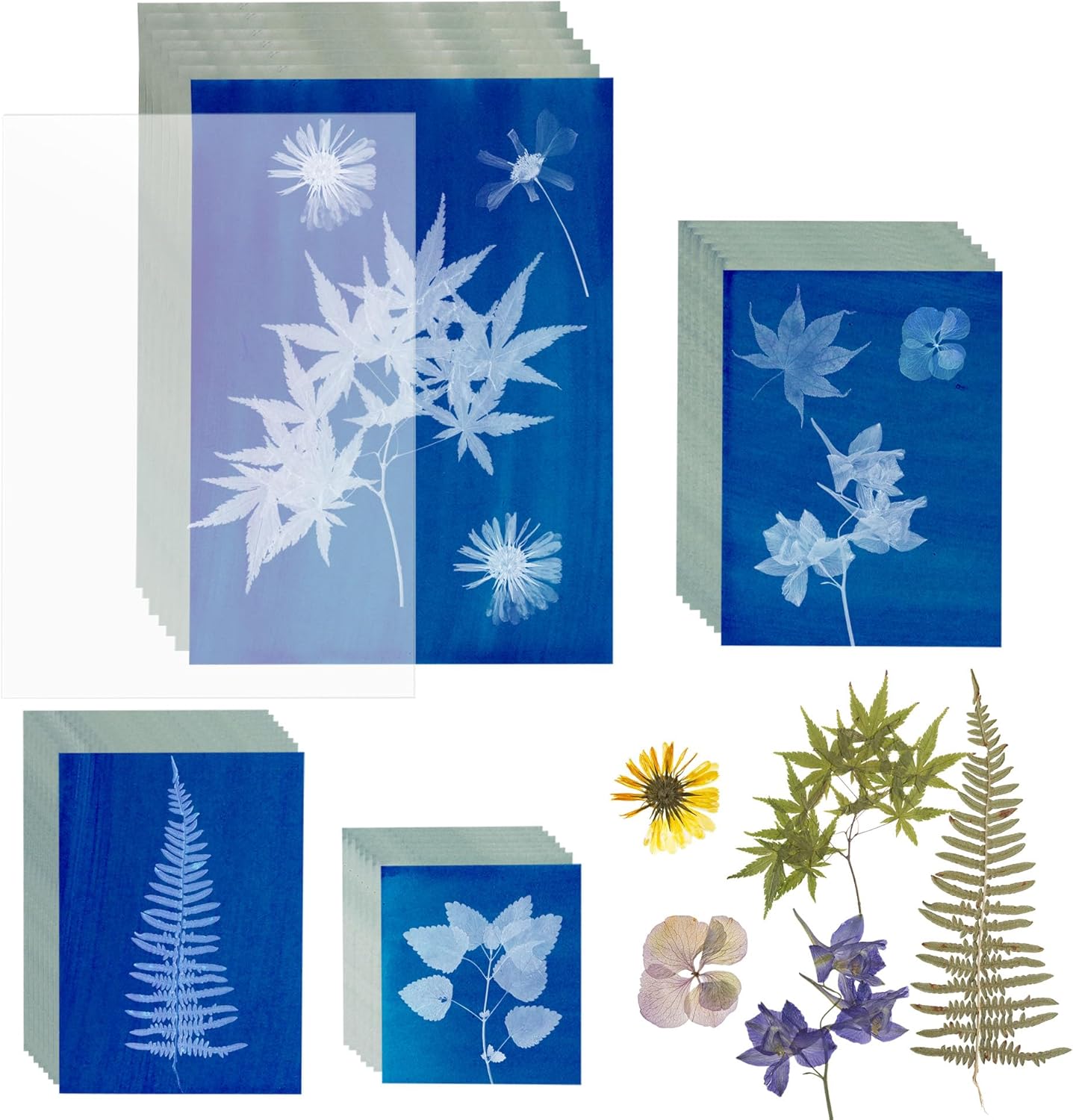 Amazon.com : KEJJNYER 42 Sheets Cyanotype Paper Sun Paper, A4 A5 A6 4 ...