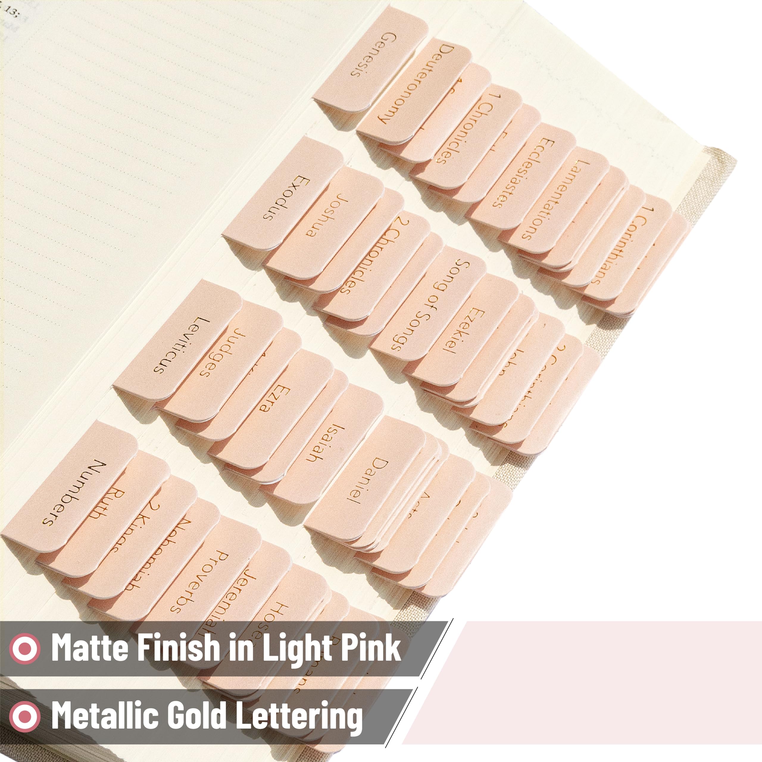 Snapklik.com : Bible Tabs, 75 Tabs, Metallic Gold Lettering, Laminated ...