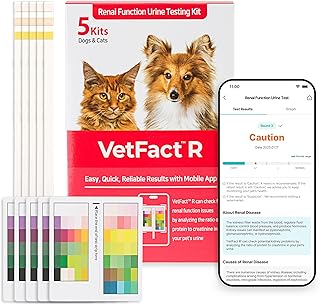 Understanding Creatinine Random Urine Tests: What Do They Mean? | MedShun