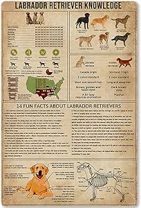 Amazon.com: Labrador Retriever Knowledge Metal Tin Signs Labrador ...