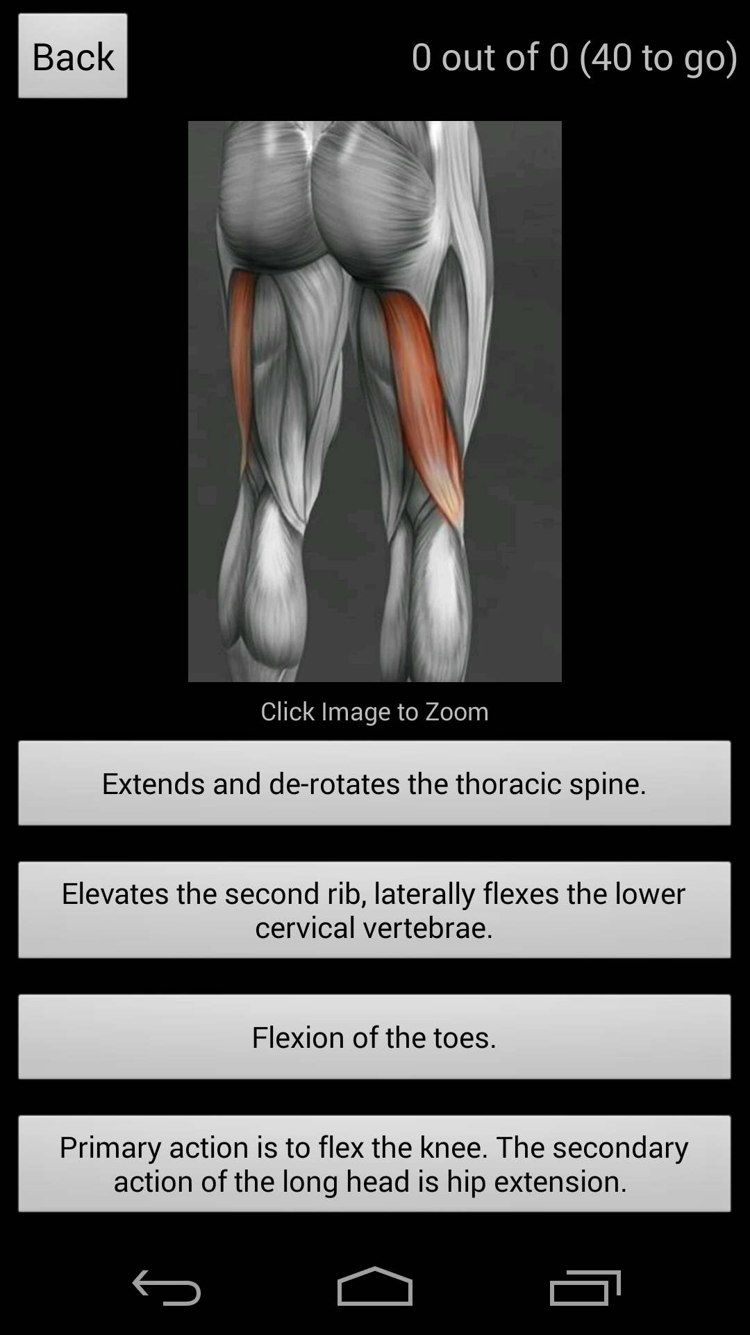 Learn Muscles: Anatomy - App on Amazon Appstore