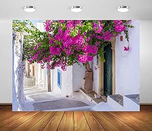 Amazon.com : BELECO 8x6ft Fabric Greece Street Backdrop Santorini Town ...