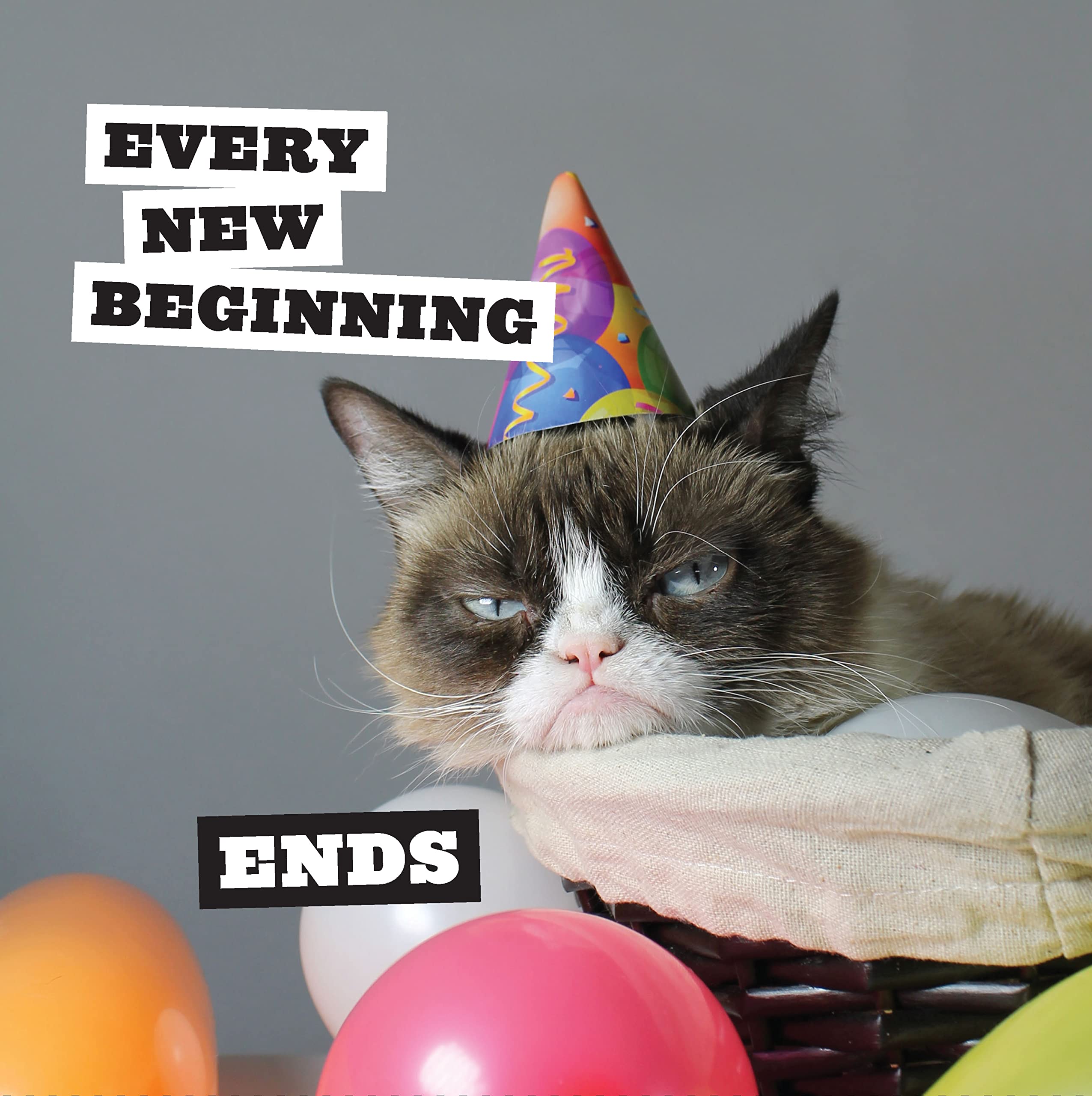 Snapklik.com : Grumpy Cat 2023 Wall Calendar