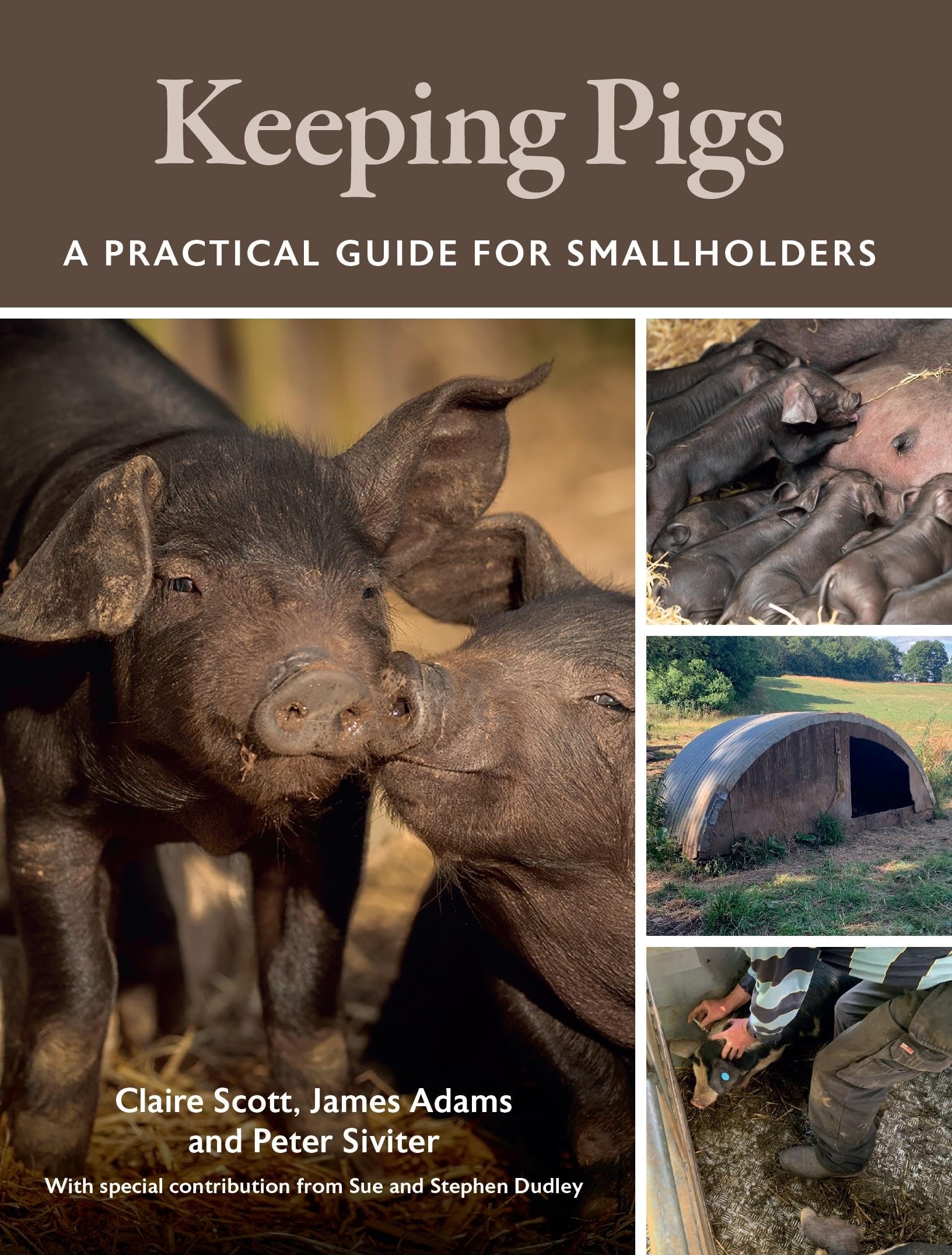 Keeping Pigs: A Practical Guide for Smallholders: Amazon.co.uk: Scott ...