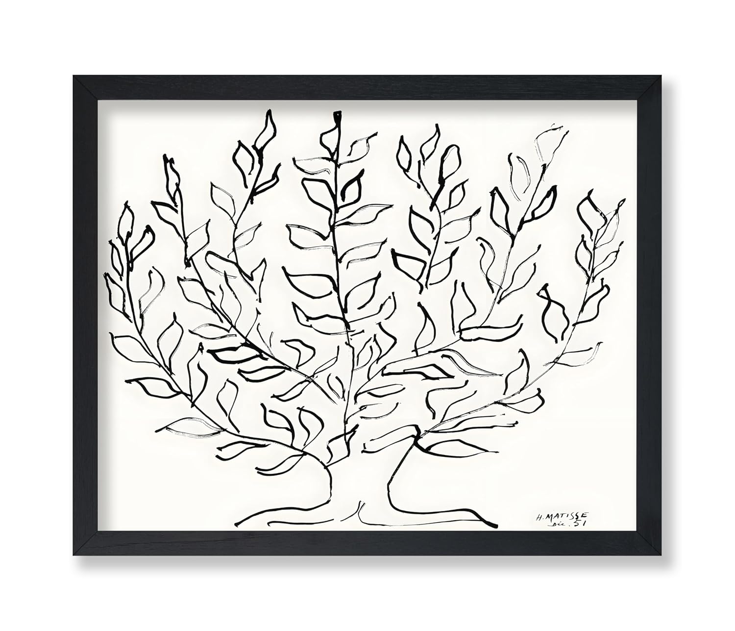 Amazon.com: Monem Art Vintage Henri Matisse Poster - Retro Plain Tree ...