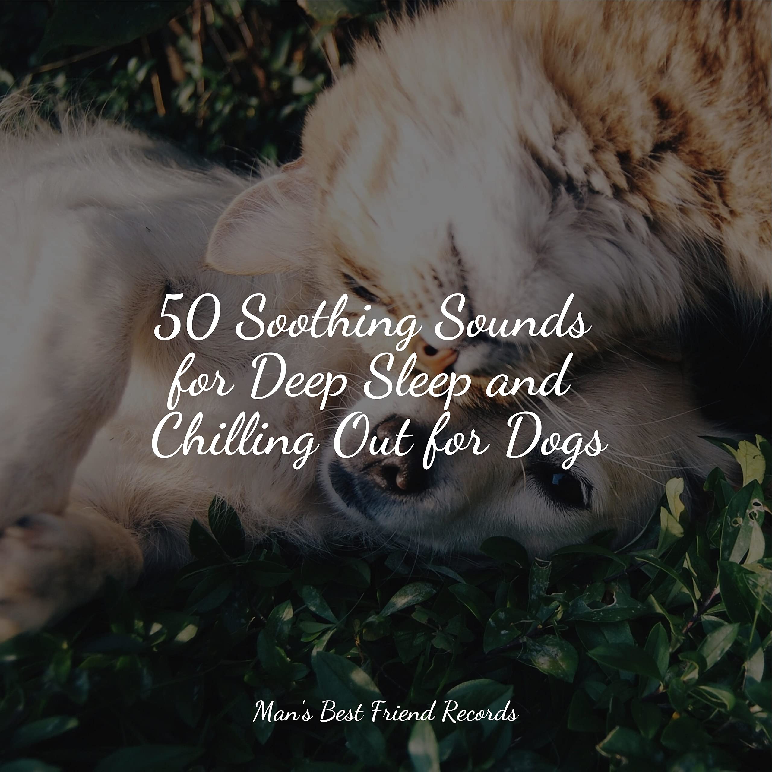 Calm song by Hieling from The Sleep of Unfolding Fields on Amazon Music