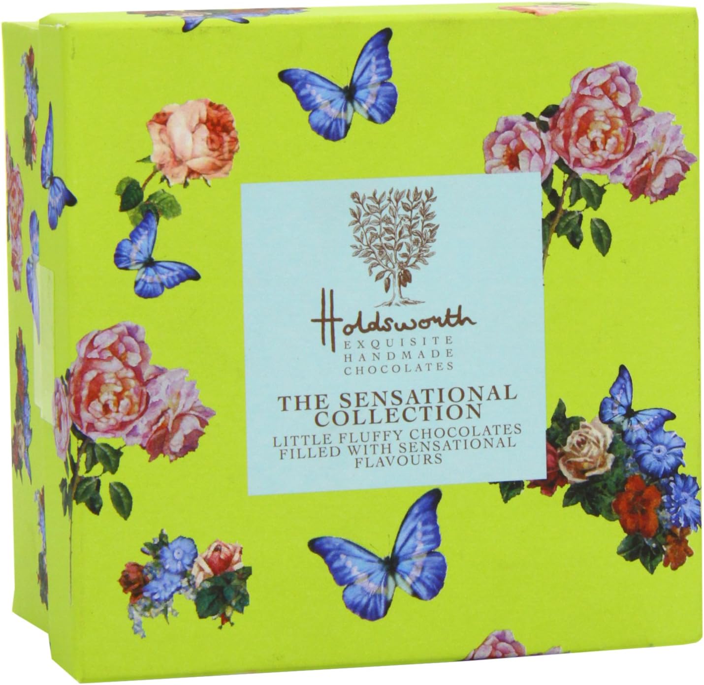 Holdsworth Exquisite Handmade Chocolates A Collection of Light Creams ...