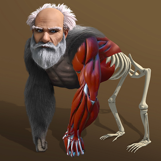 Idle Evolution — Cell to Human - App on Amazon Appstore