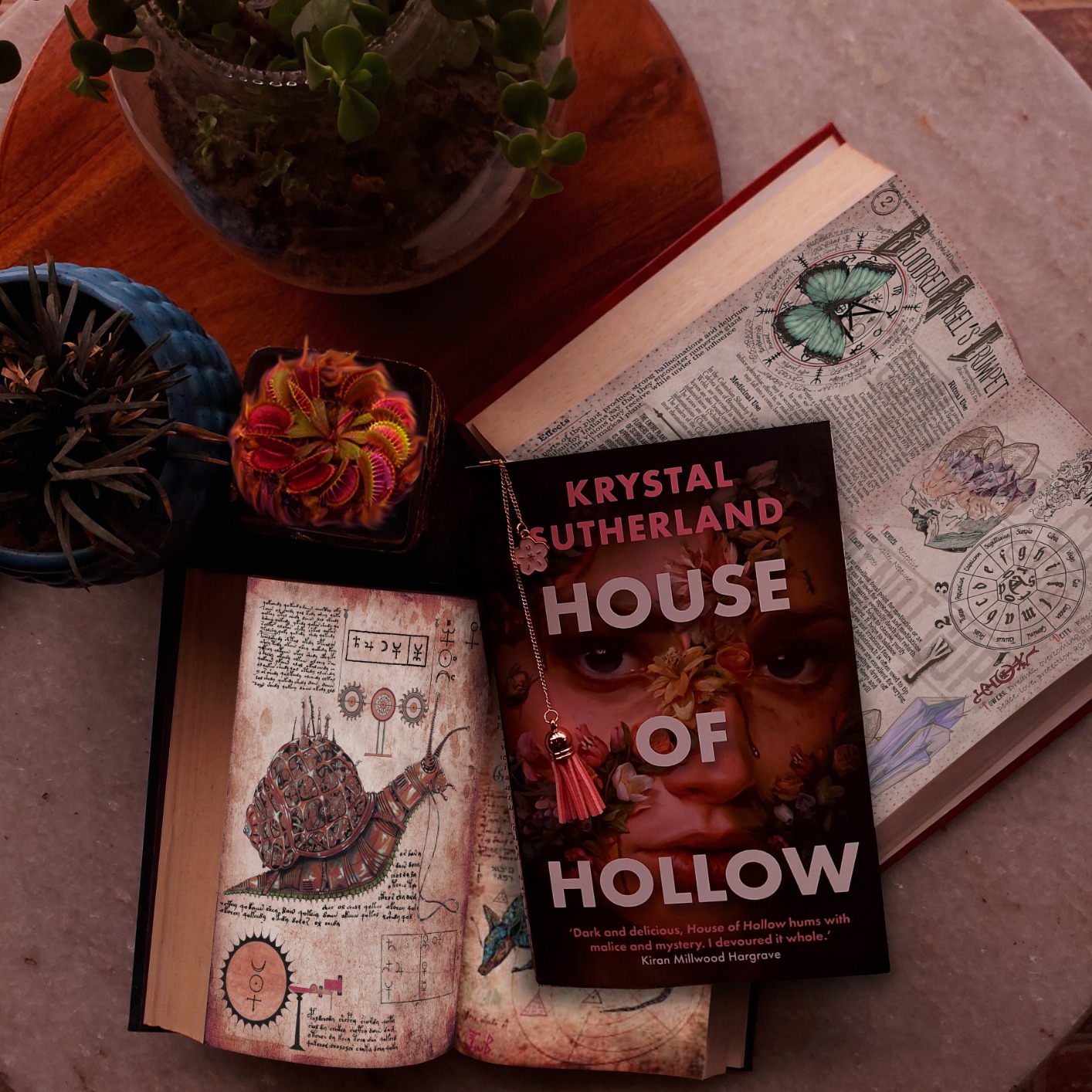 House of Hollow: From Crime Victims to Suspects to Survivors ...