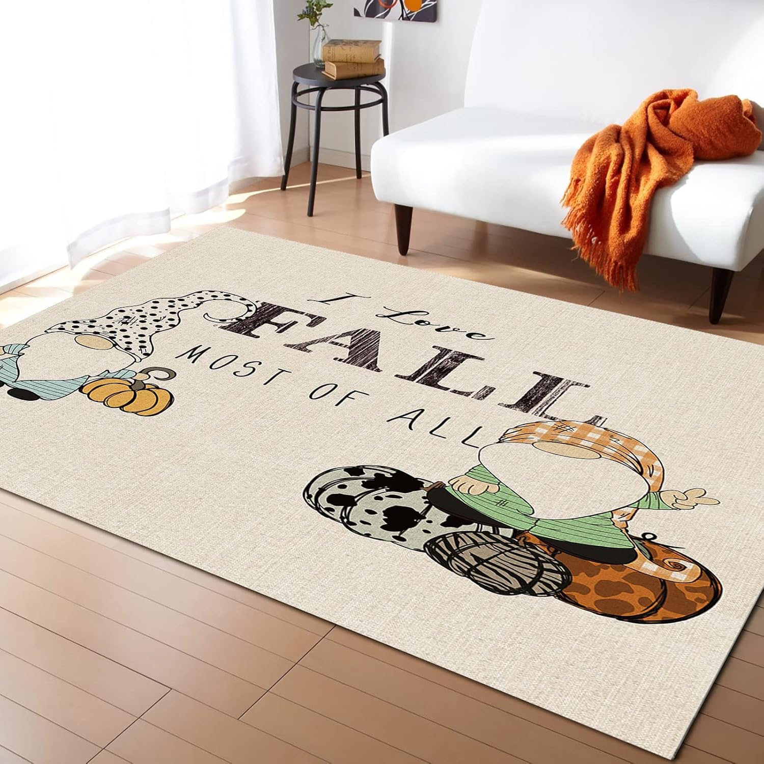 Amazon.com: 4' x 6' Fall Gnomes Outdoor Indoor Washable Carpet Area+Rug ...