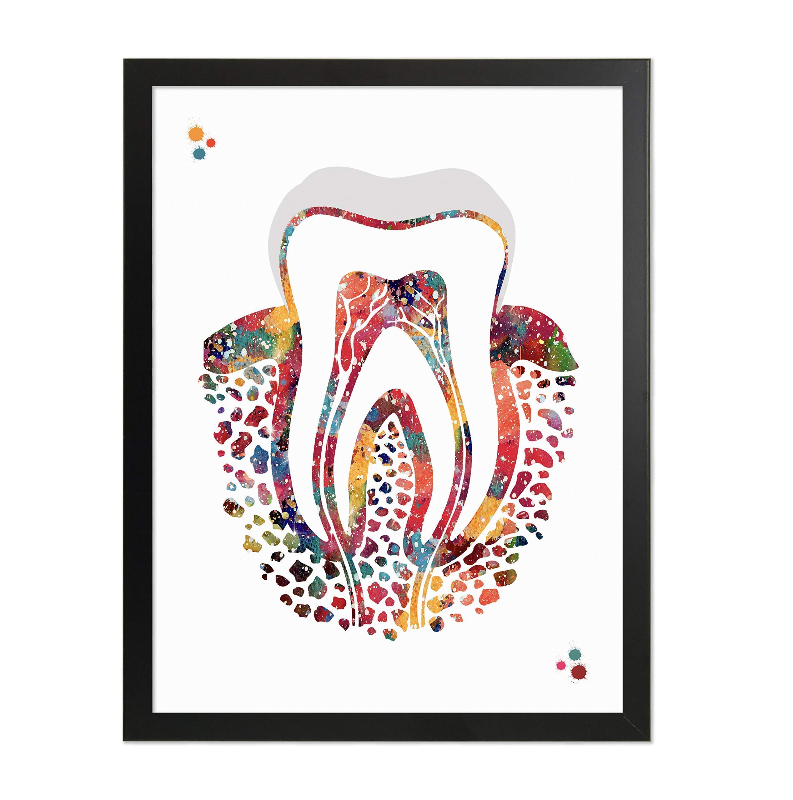 Dental Watercolor 8x10 Unframed Print Set Tooth Chart Wall Art Dental ...