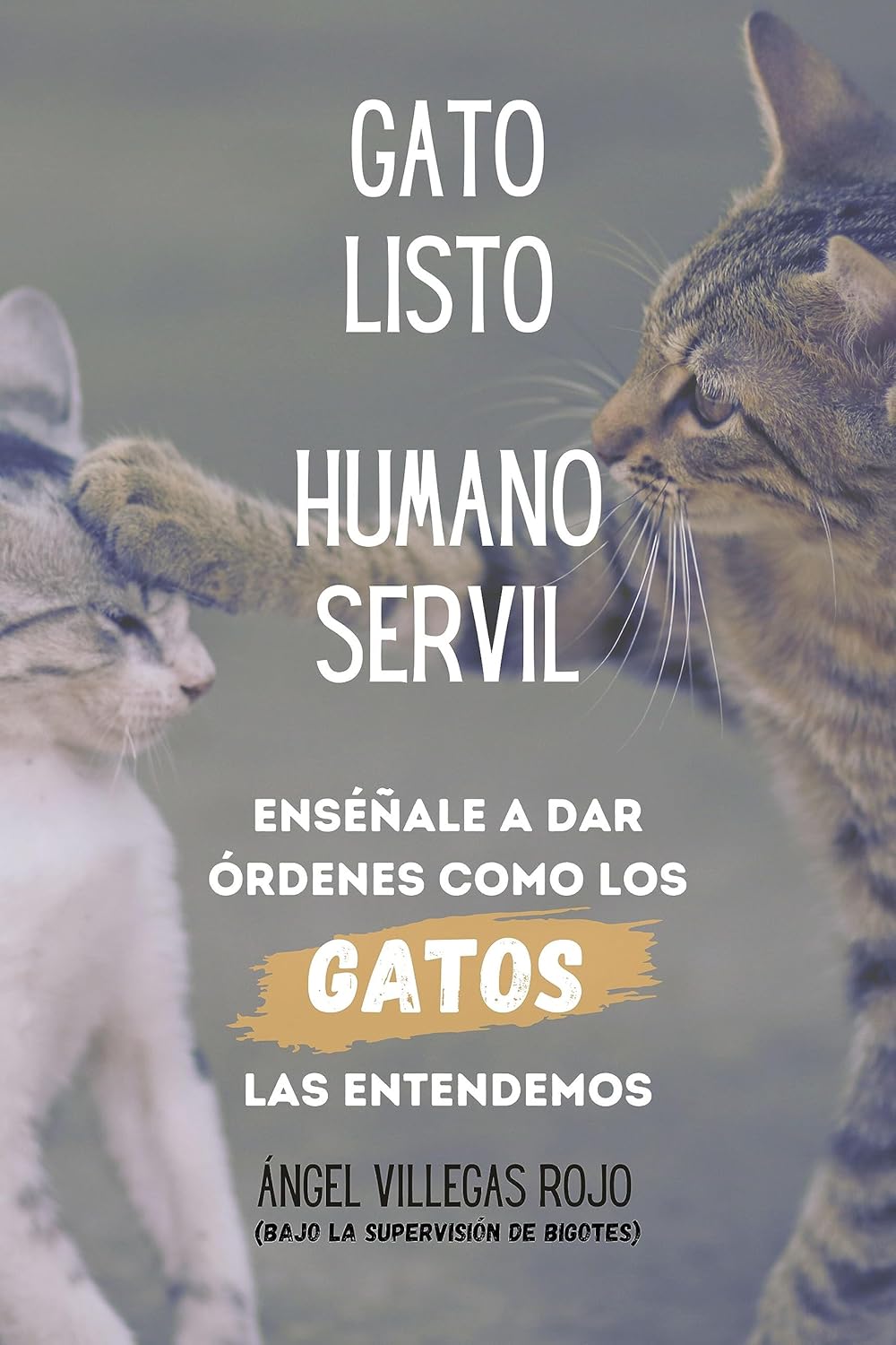 Amazon.com: Gato listo, humano servil: Enséñale a dar las órdenes como ...