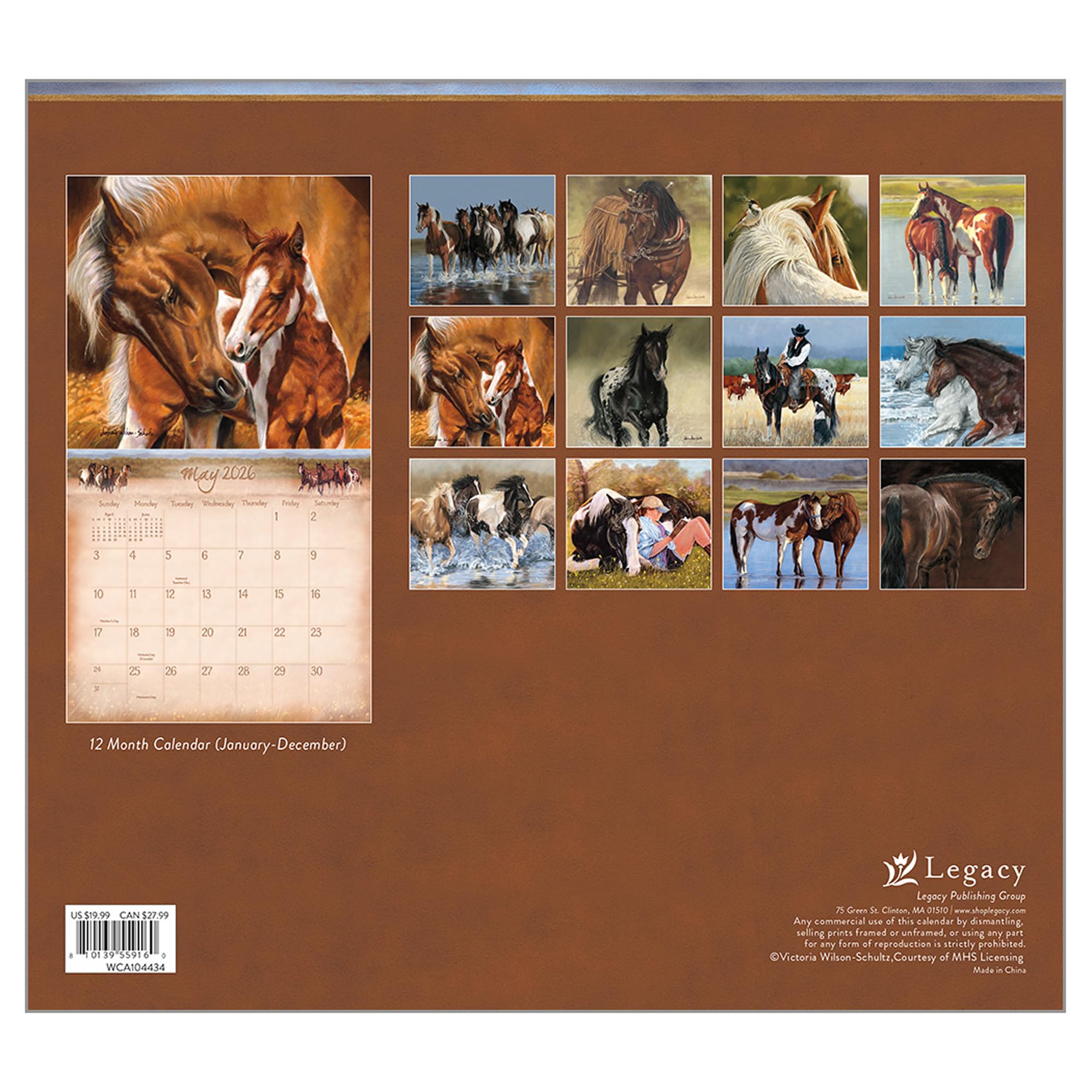 Large Wall Calendar 2026 2026 Lang Wall Calendar Songbirds 2026 Wall ...