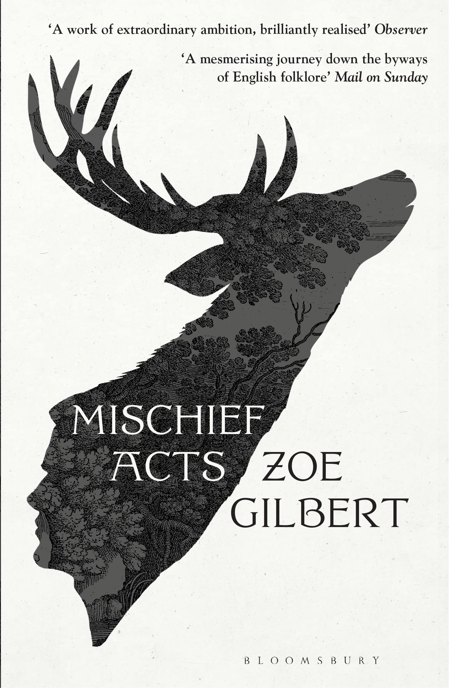 Mischief Acts: Zoe Gilbert: 9781526628794: Amazon.com: Books