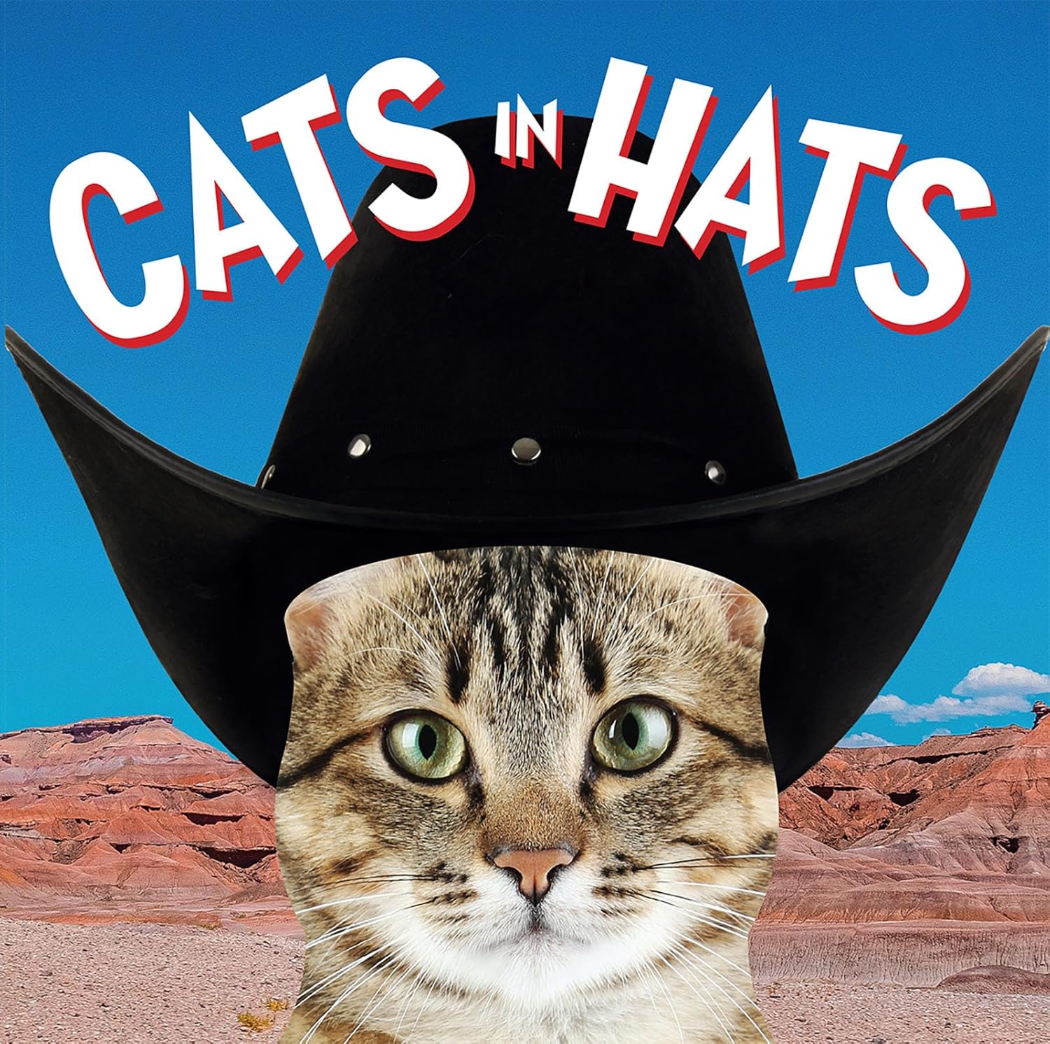 Cats in Hats: Ammonite Press: 9781781453476: Amazon.com: Books