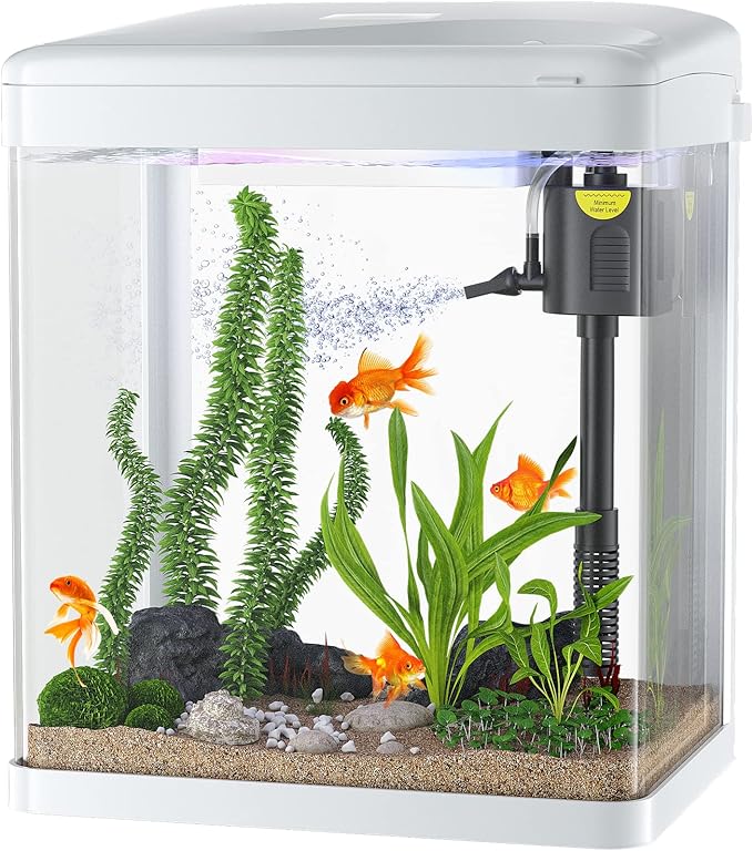 Amazon.com : PONDON Betta Fish Tank, 2 Gallon Glass Aquarium, 3 in 1 ...