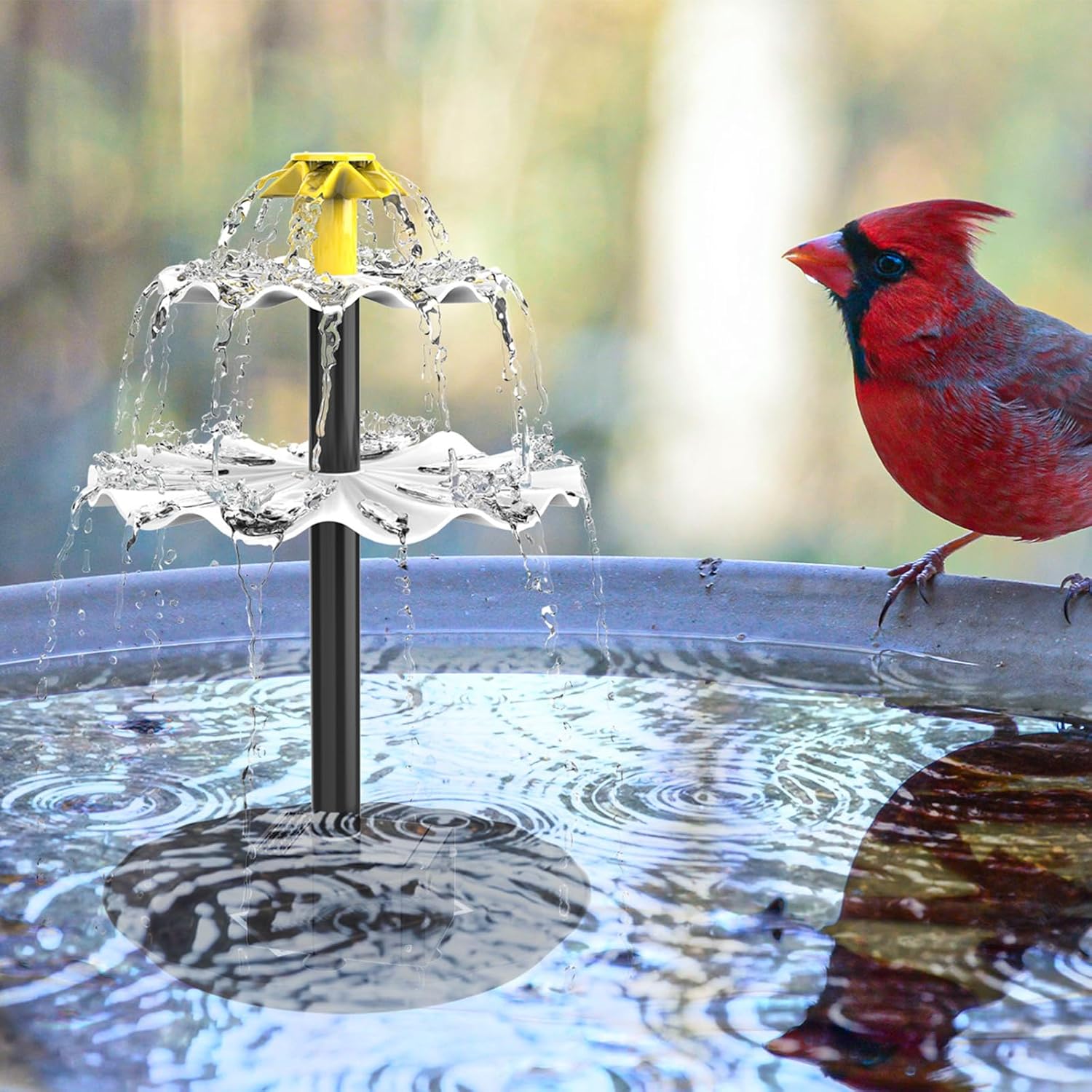 Amazon.com: DJAPWPX Solar Bird Bath Fountain 3-Tier Solar Fountain Pump ...