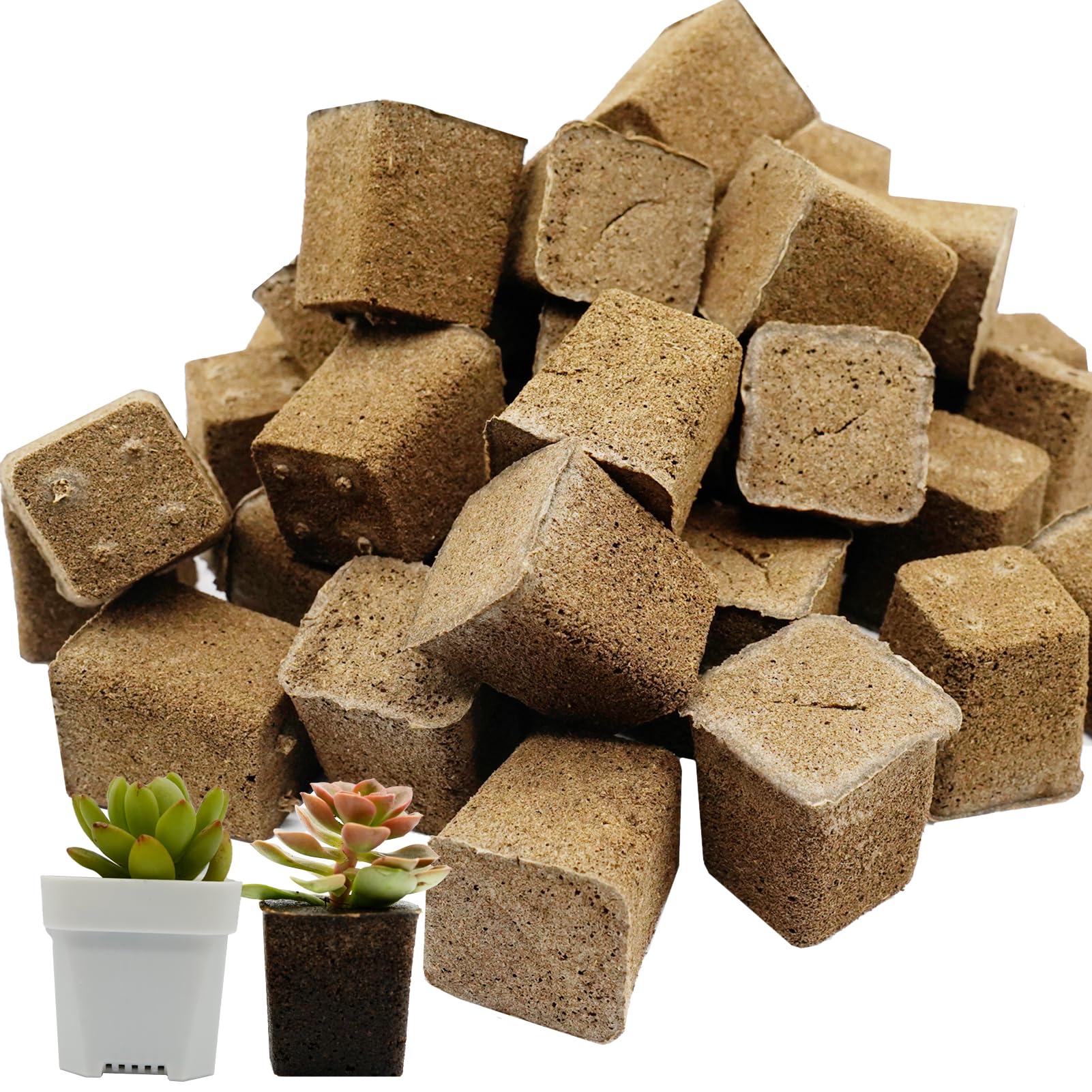 Snapklik.com : UDUPEN 50 Hydroponic Seed Sponge For Seedlings