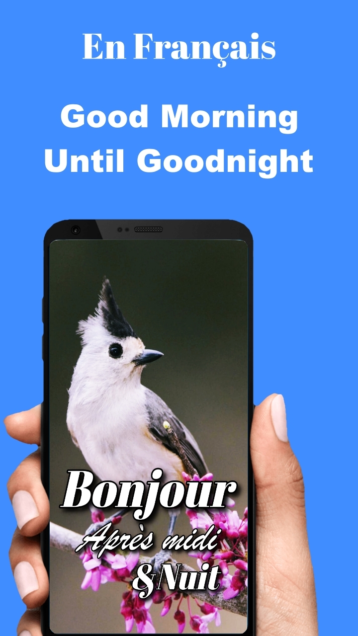 French Good Morning Afternoon & Good Night Wishes Love - App on Amazon ...