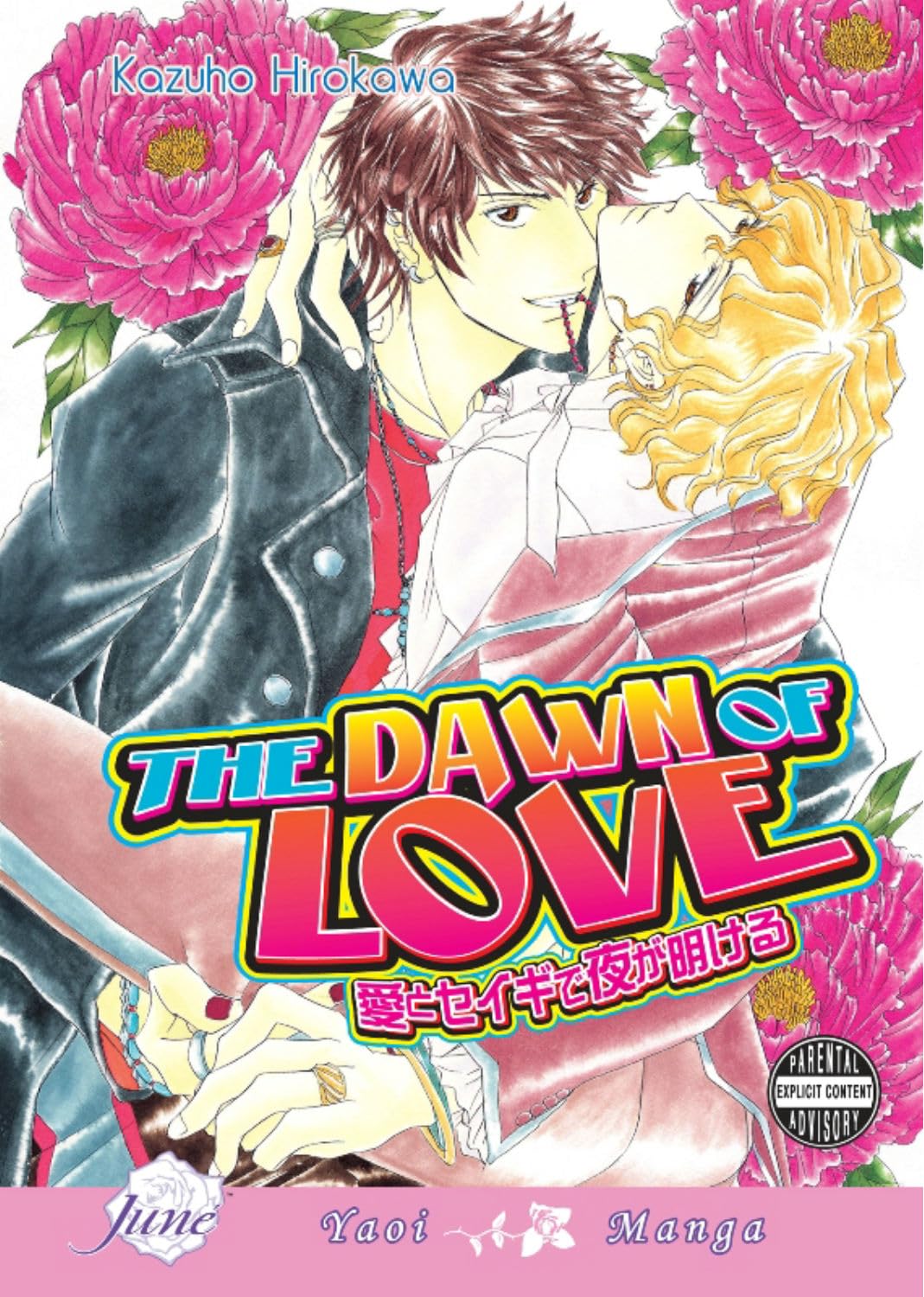 The Dawn of Love (Yaoi) (Yaoi Manga): Layman, John, Kirkman, Robert ...