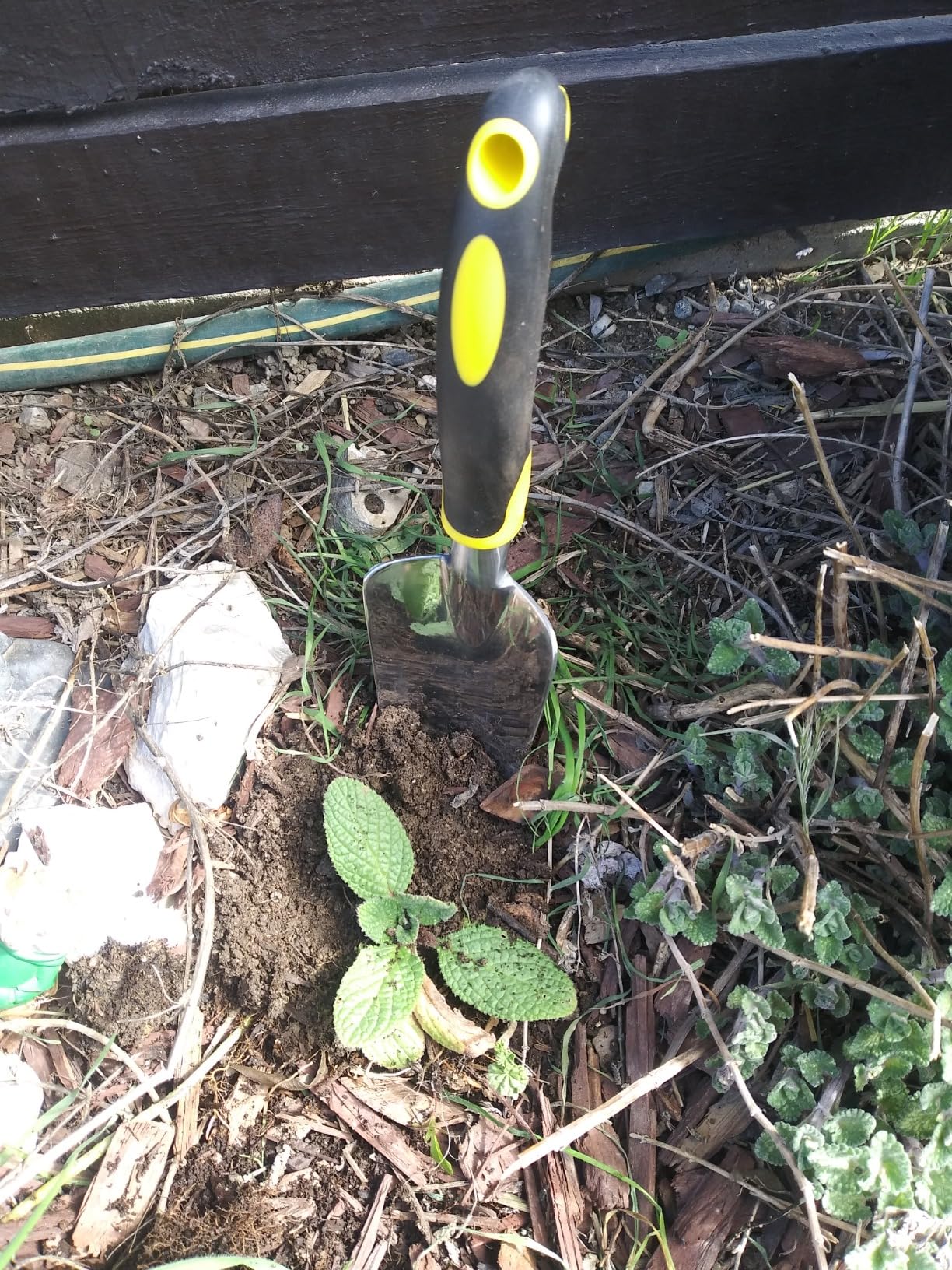 $3/mo - Finance Garden Tool Set 3 Pcs,Aluminum Gardening Tools Kit with ...