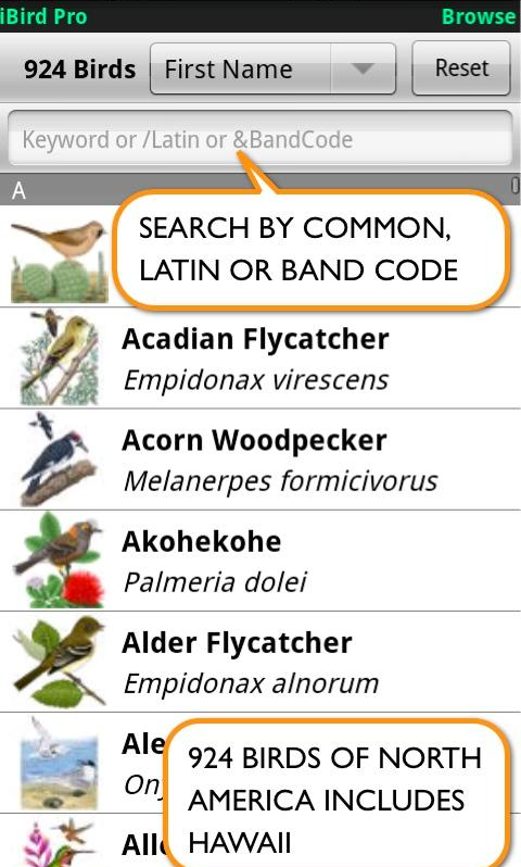 iBird Lite 2 - App on Amazon Appstore