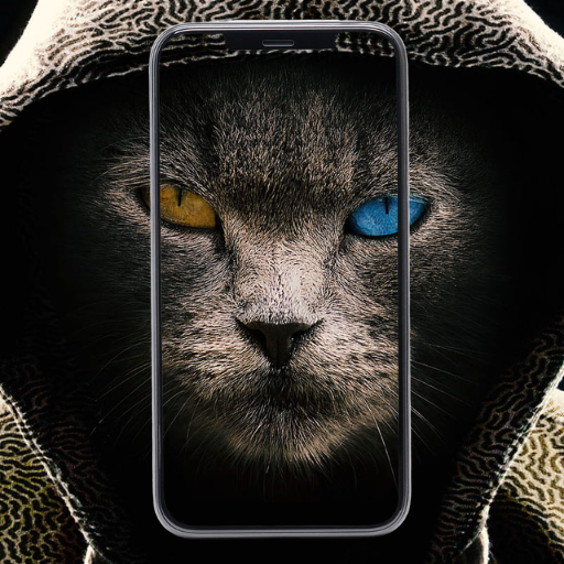 Adorable Pets Wallpaper Screensaver - App on Amazon Appstore