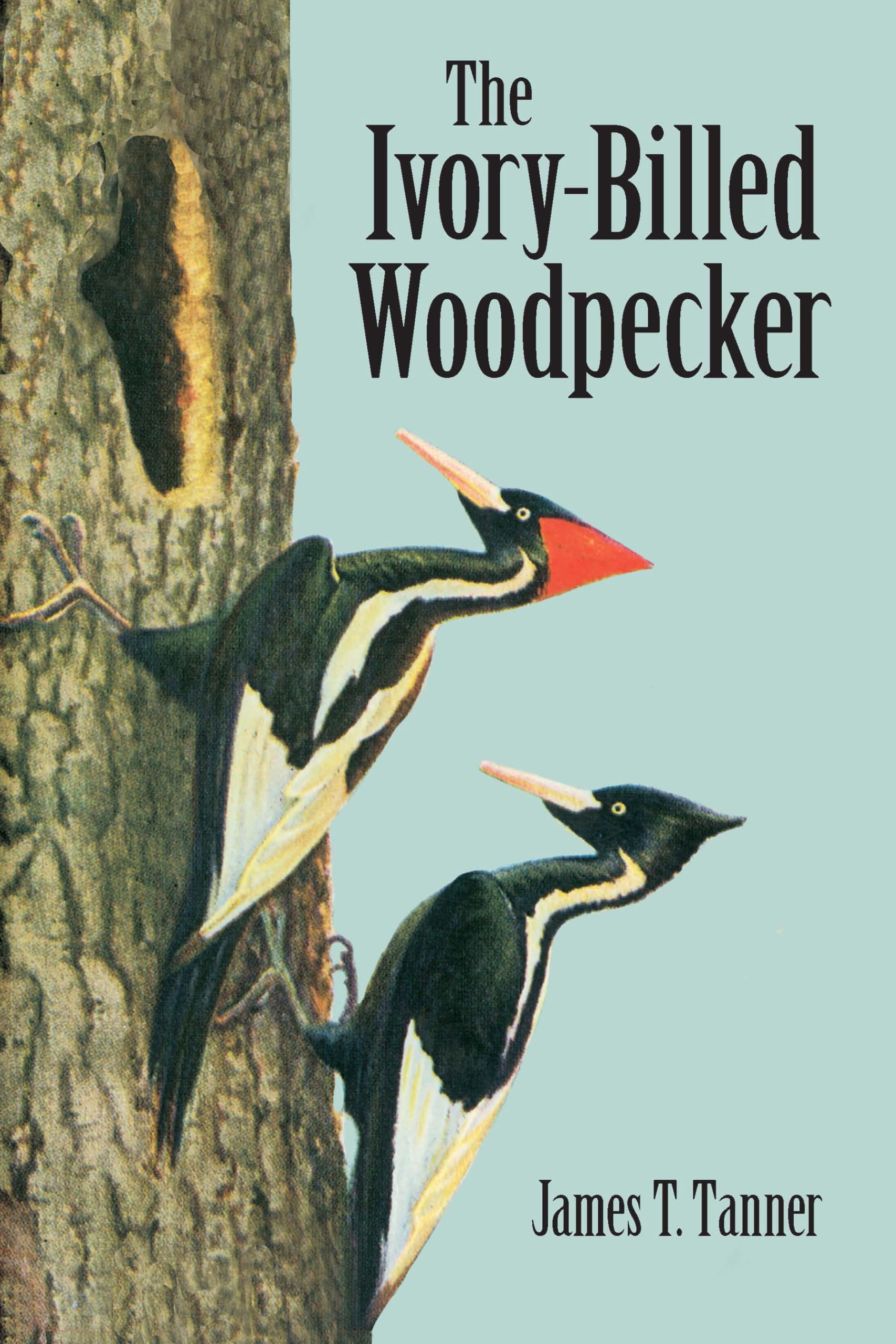 The Ivory-Billed Woodpecker (Dover Birds): Tanner, James T ...