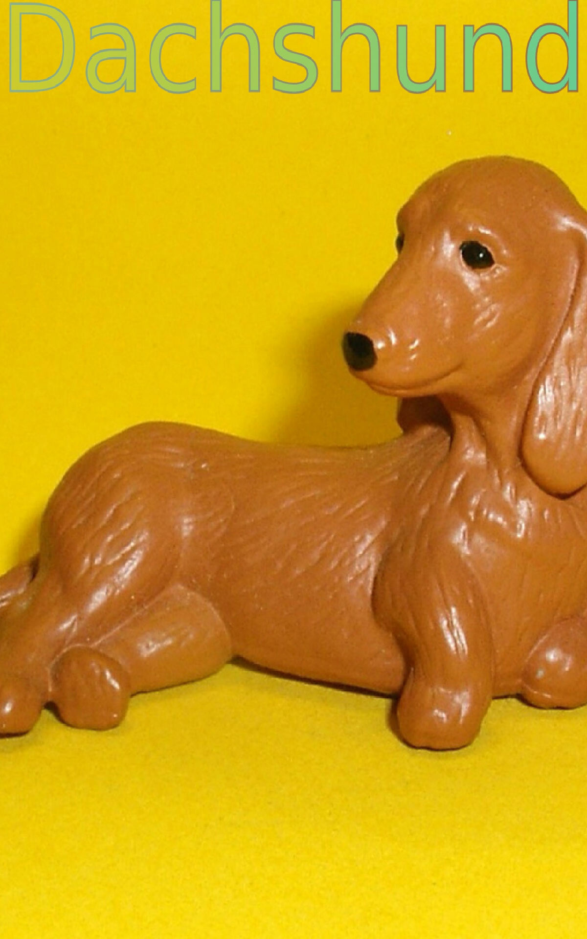Model Puppy Dog Breeds 1 - App on Amazon Appstore