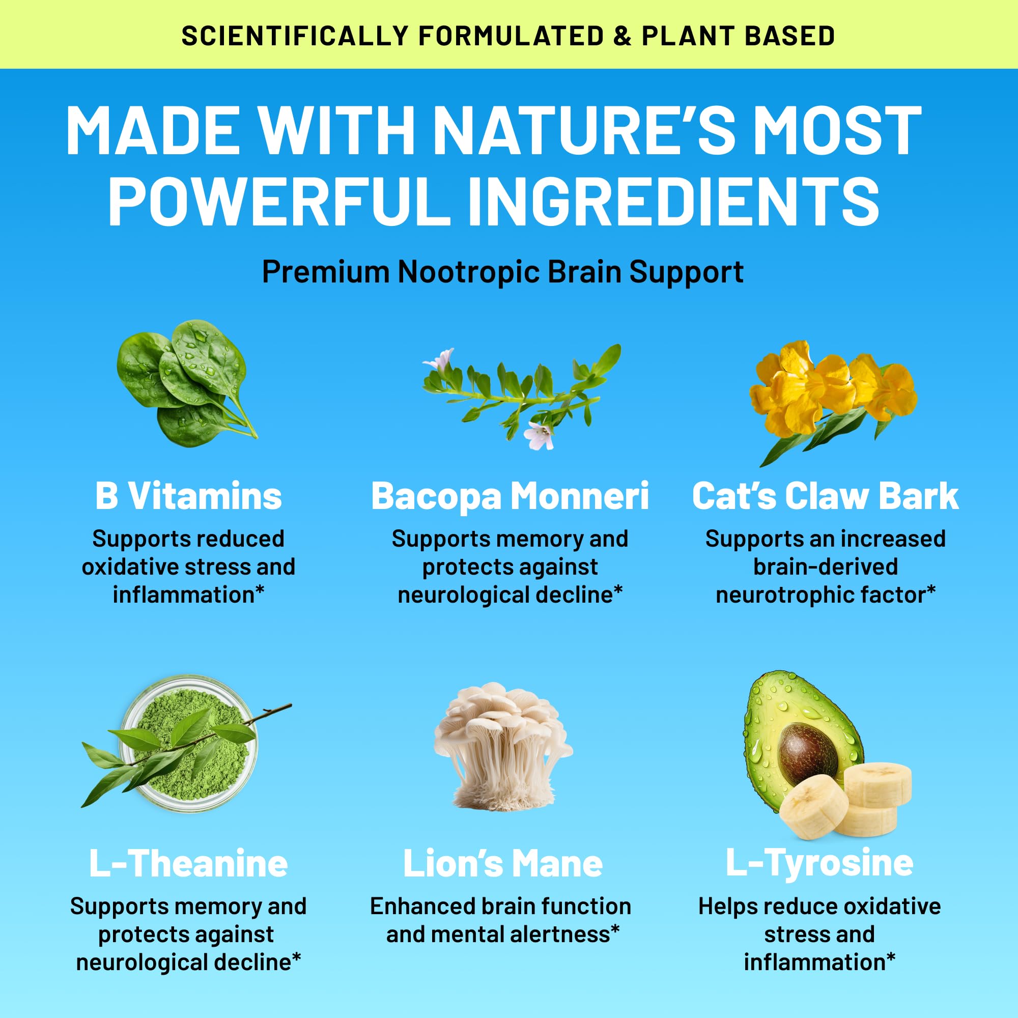 Snapklik.com : Brain Supplement Nootropic For Memory, Focus & Cognitive ...