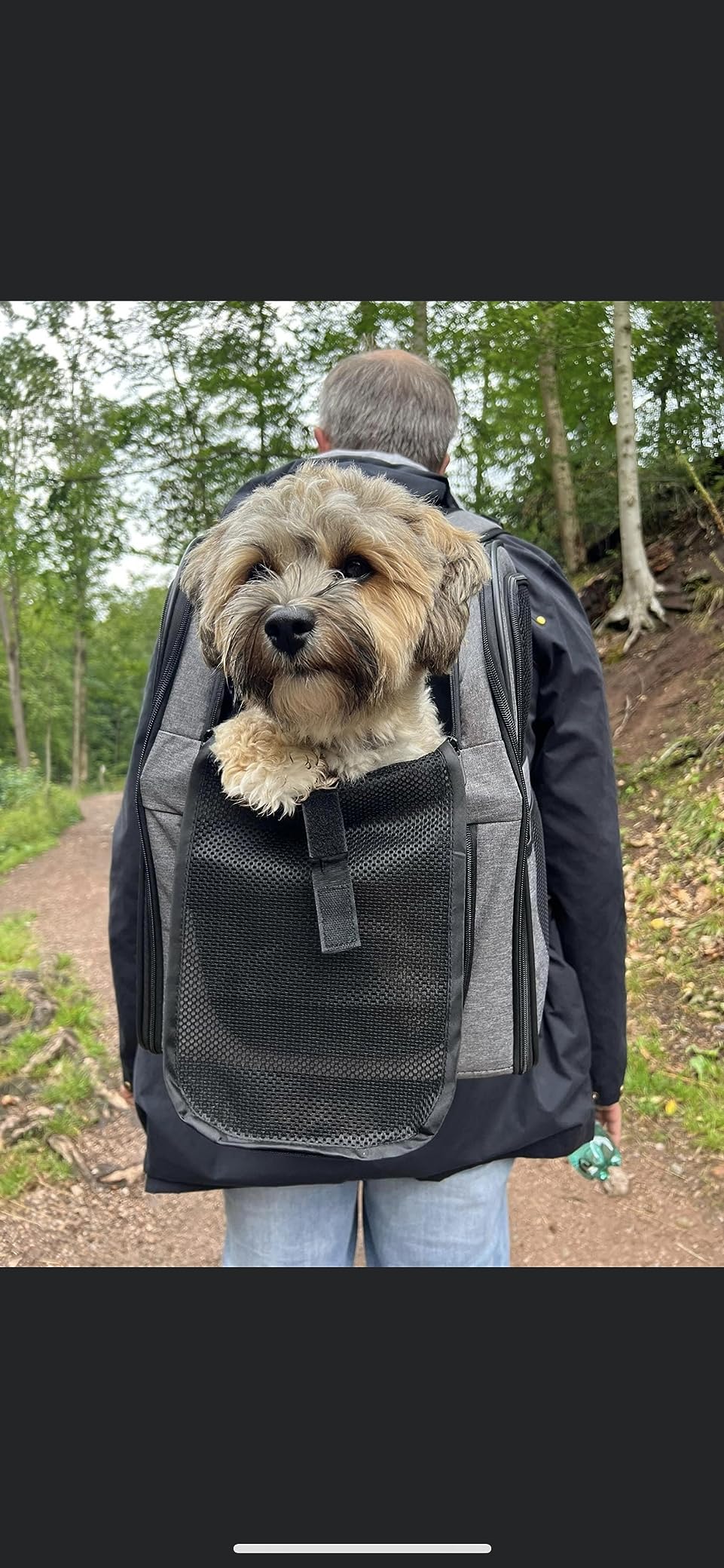PETSWORLD Hunderucksack faltbar | Platz für Haustiere bis 8,5 kg ...