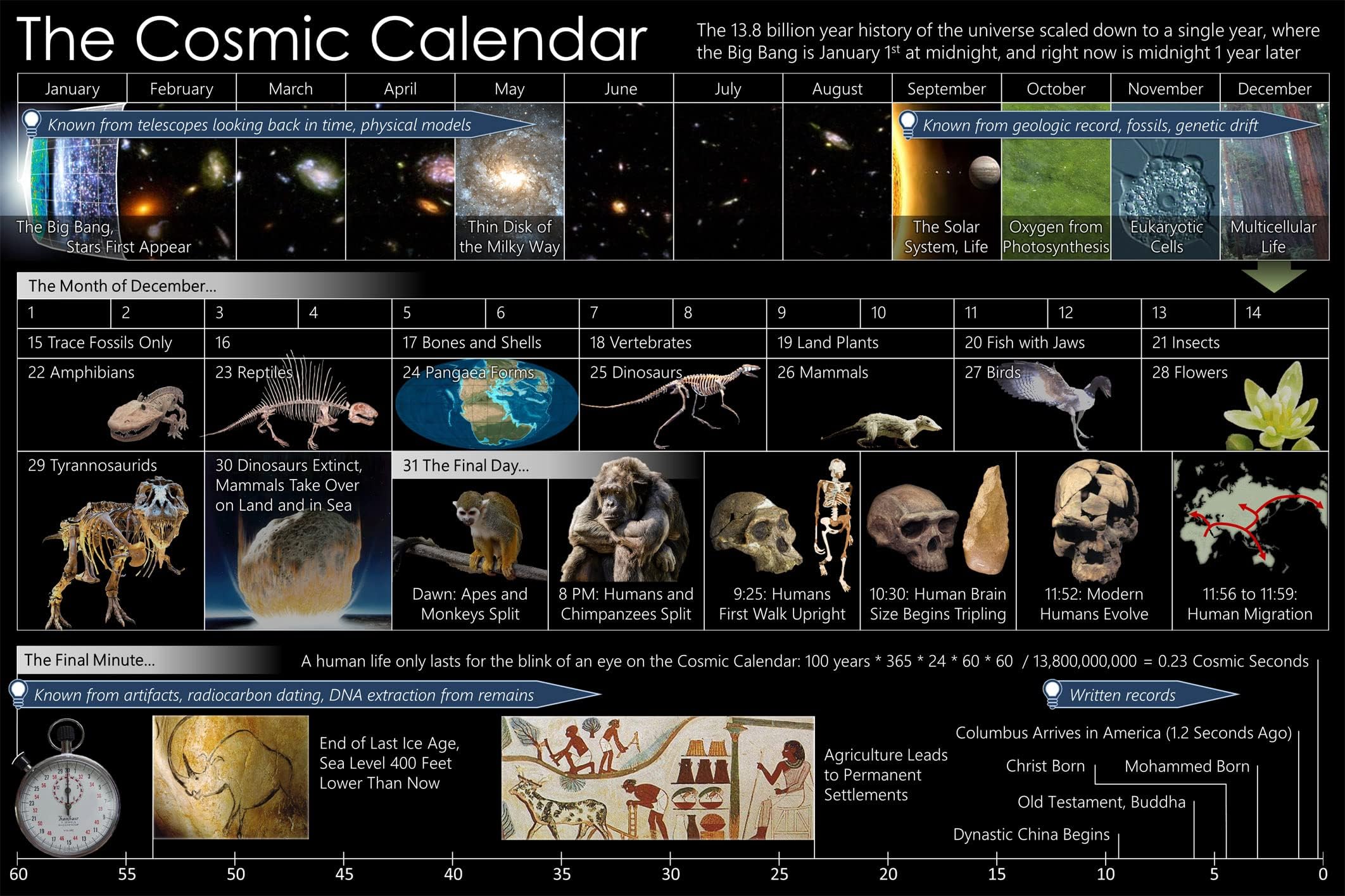 Amazon.com: 24x36 gallery poster, Cosmic Calendar timeline of the age ...